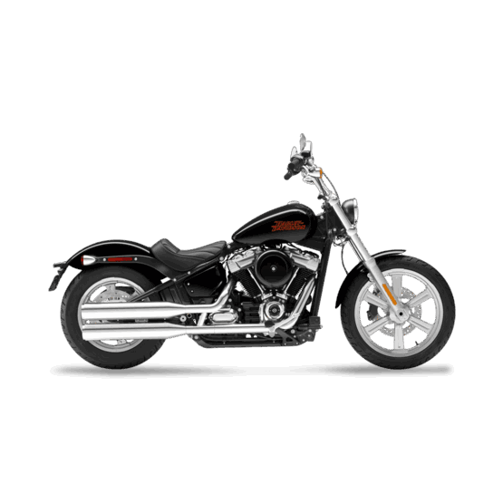 Angajează un Harley-Davidson FLSTF Fat Boy Motorcycle in Cool de la ...