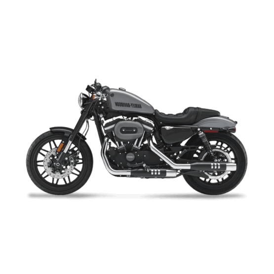 Contrata um Harley-Davidson Roadster Motorcycle em Murrieta de $45 por dia